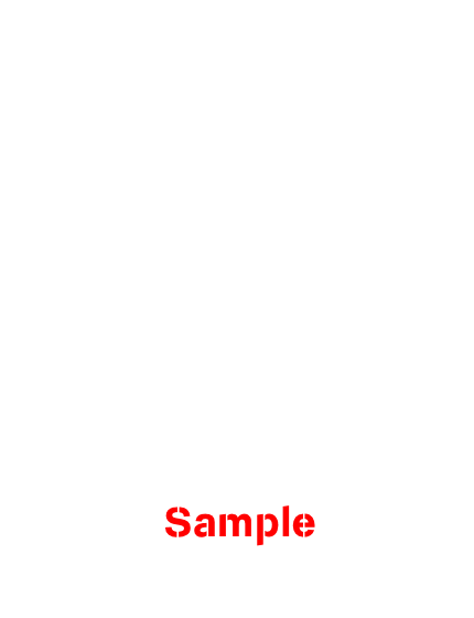 Customize Lettering | Traffic Safety Store